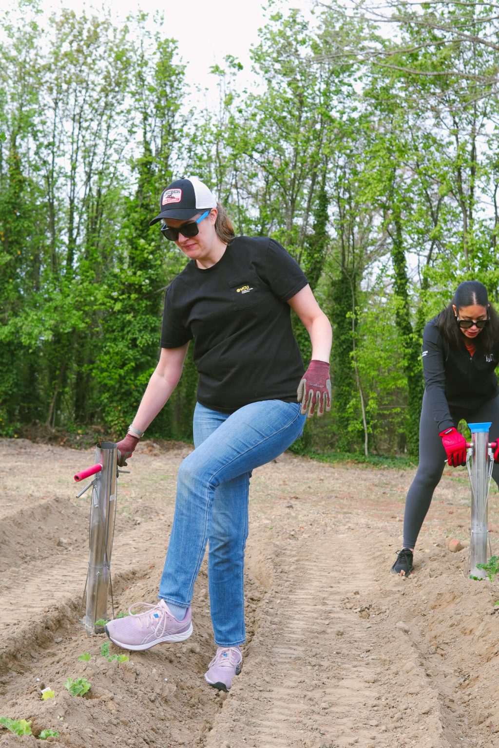 Farm to Table: Cook with Fresh Produce from the Mt. Gilead Farm – Mt ...